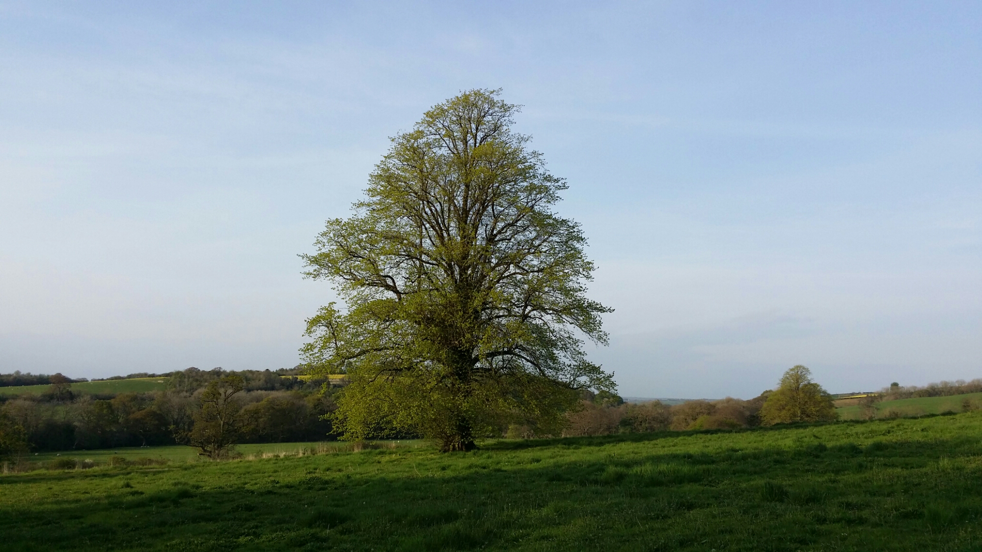 Devon | | Charles | Saumarez | Smith