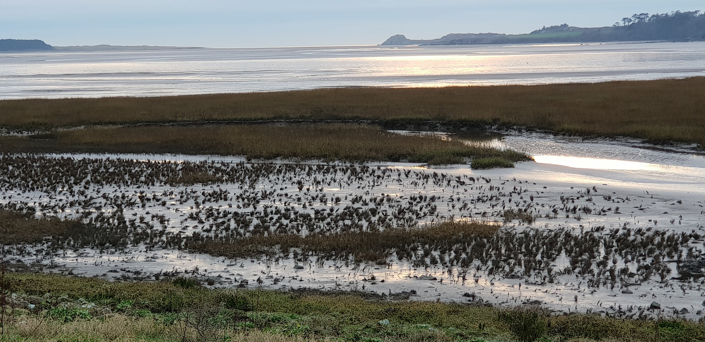 Malltraeth | | Charles | Saumarez | Smith