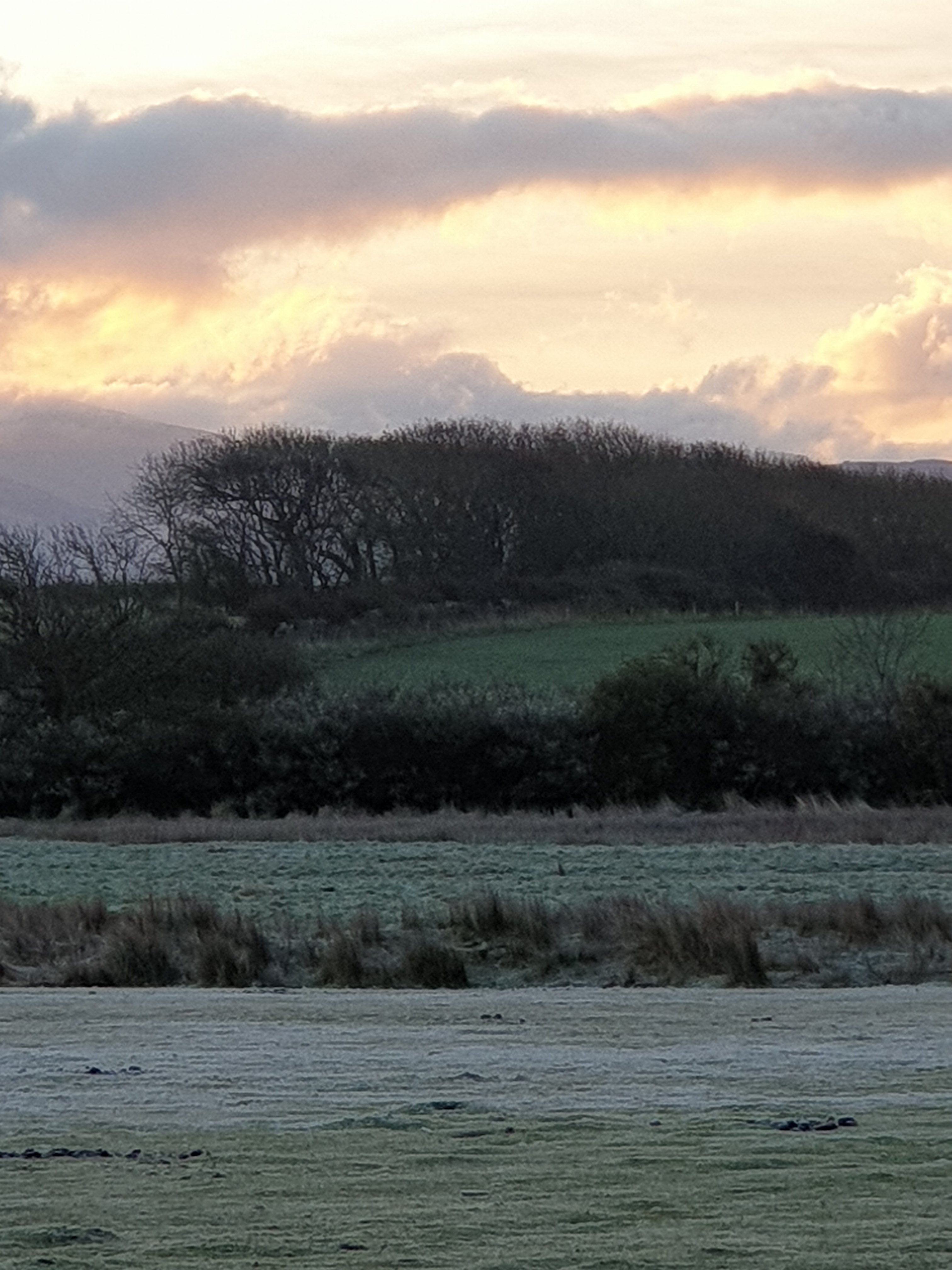The Distant Hills | | Charles | Saumarez | Smith