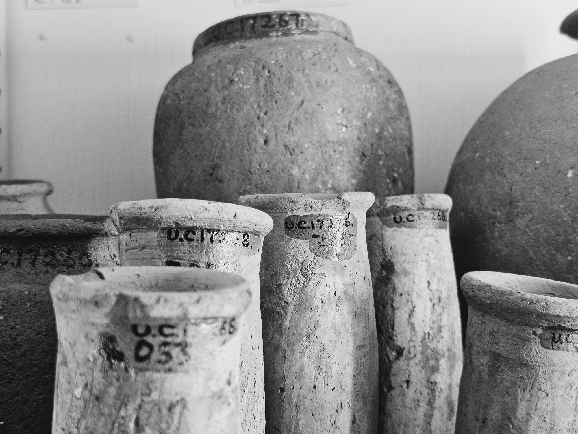The Petrie Museum | | Charles | Saumarez | Smith