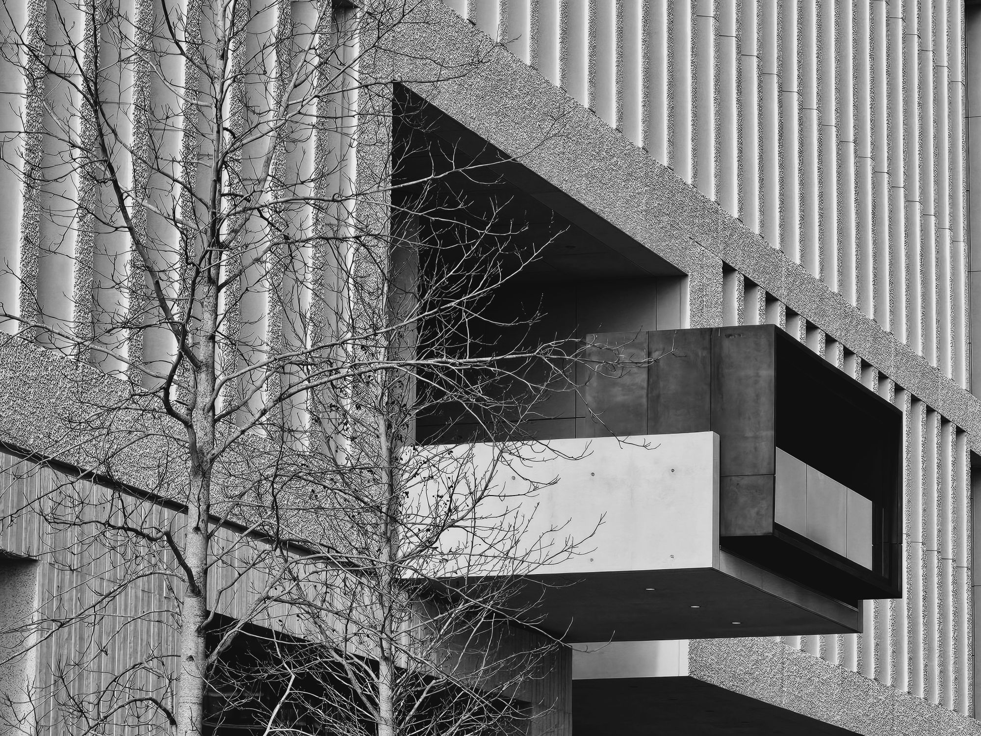 UCL Marshgate | | Charles | Saumarez | Smith