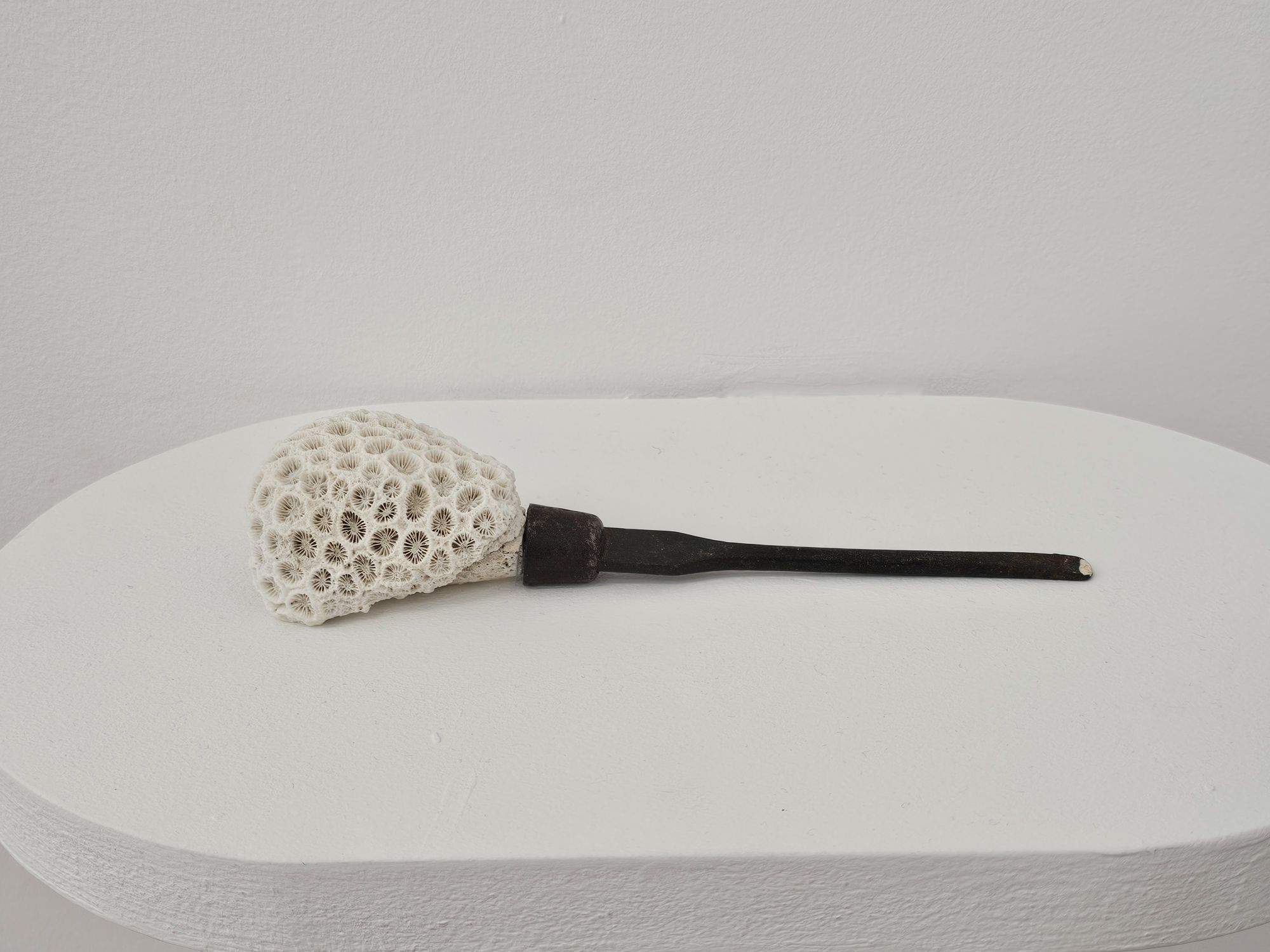 Emma Witter (2) | | Charles | Saumarez | Smith