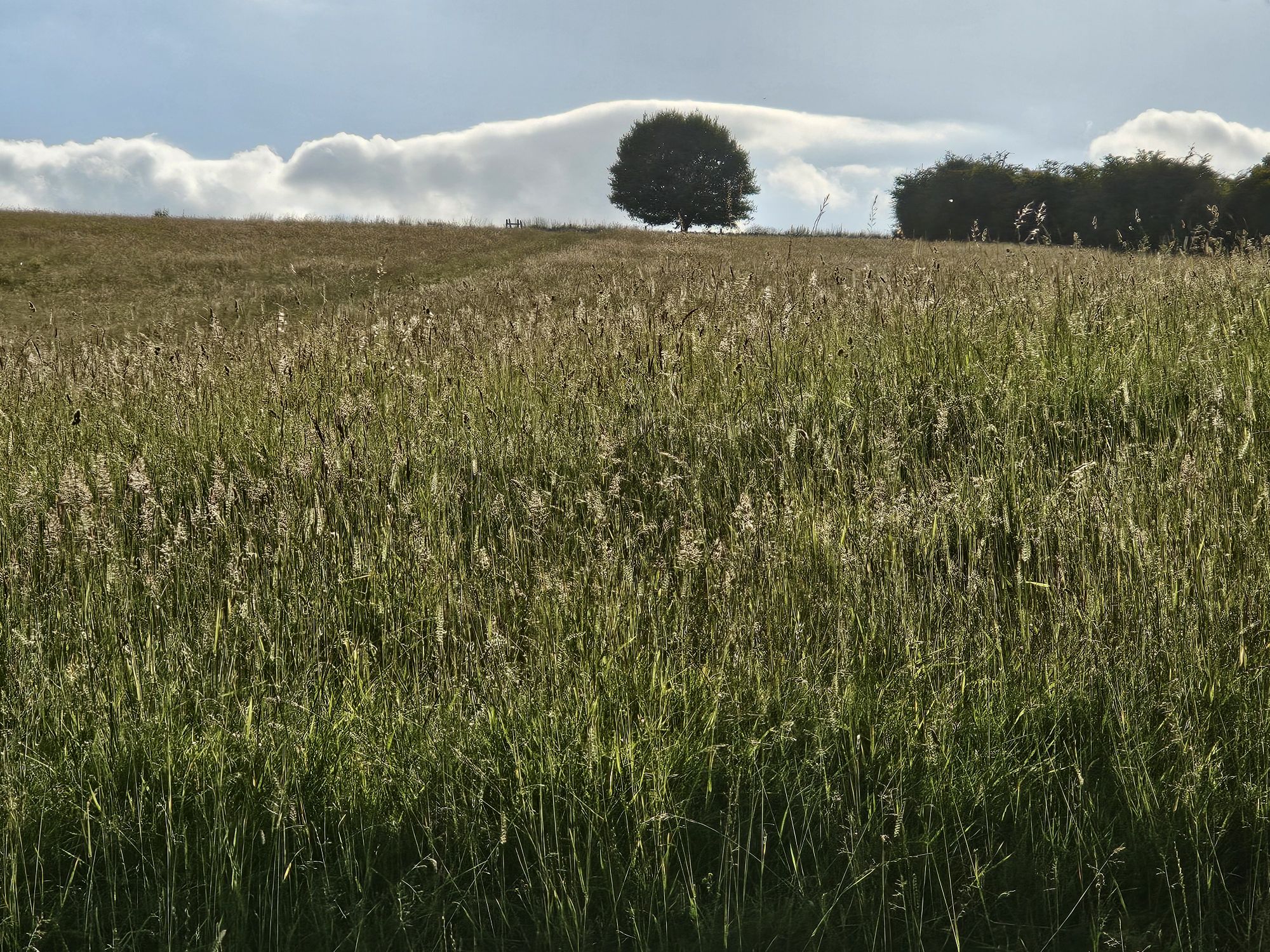 Sezincote (2) | | Charles | Saumarez | Smith