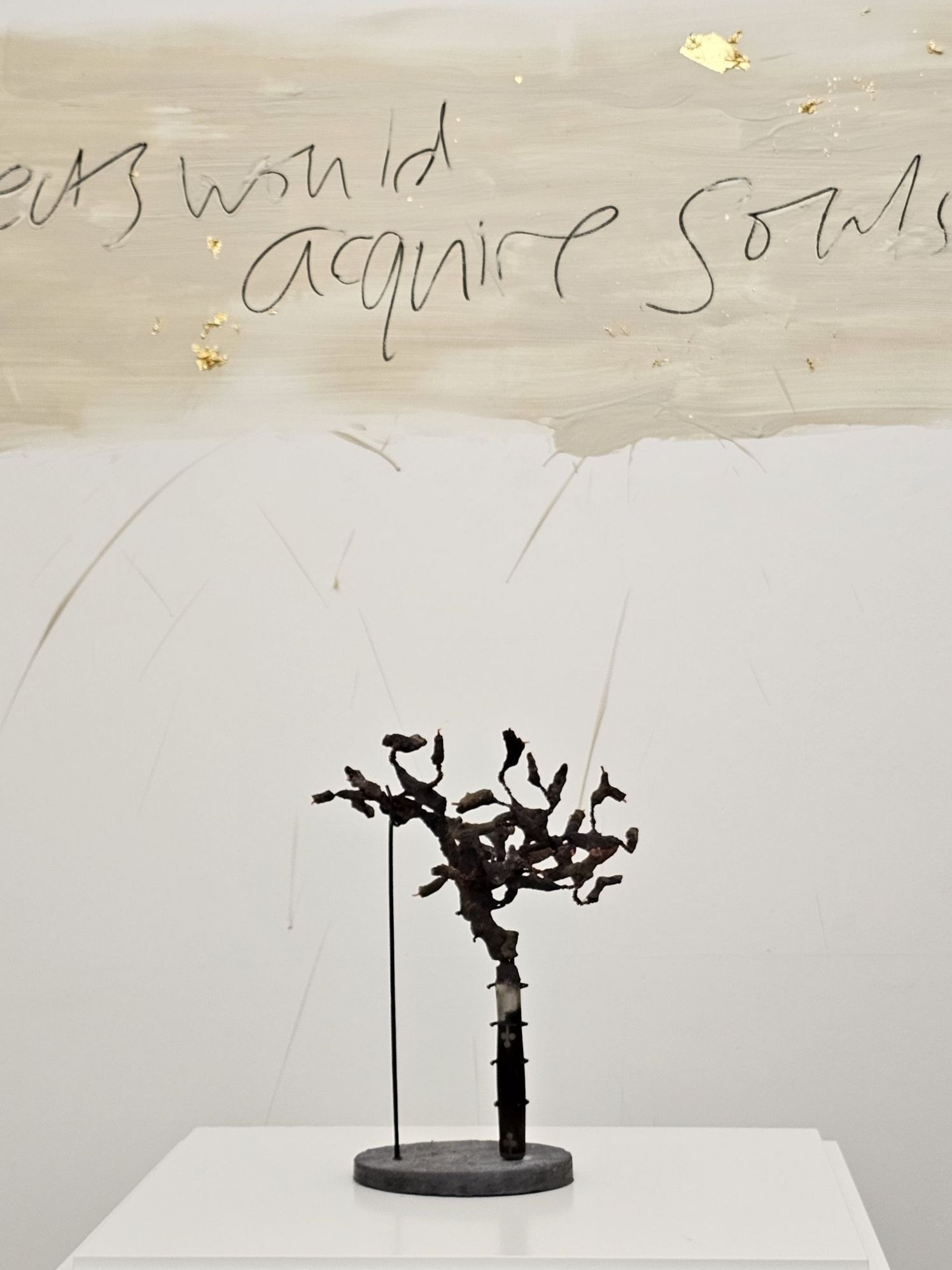 Blog | | Charles | Saumarez | Smith