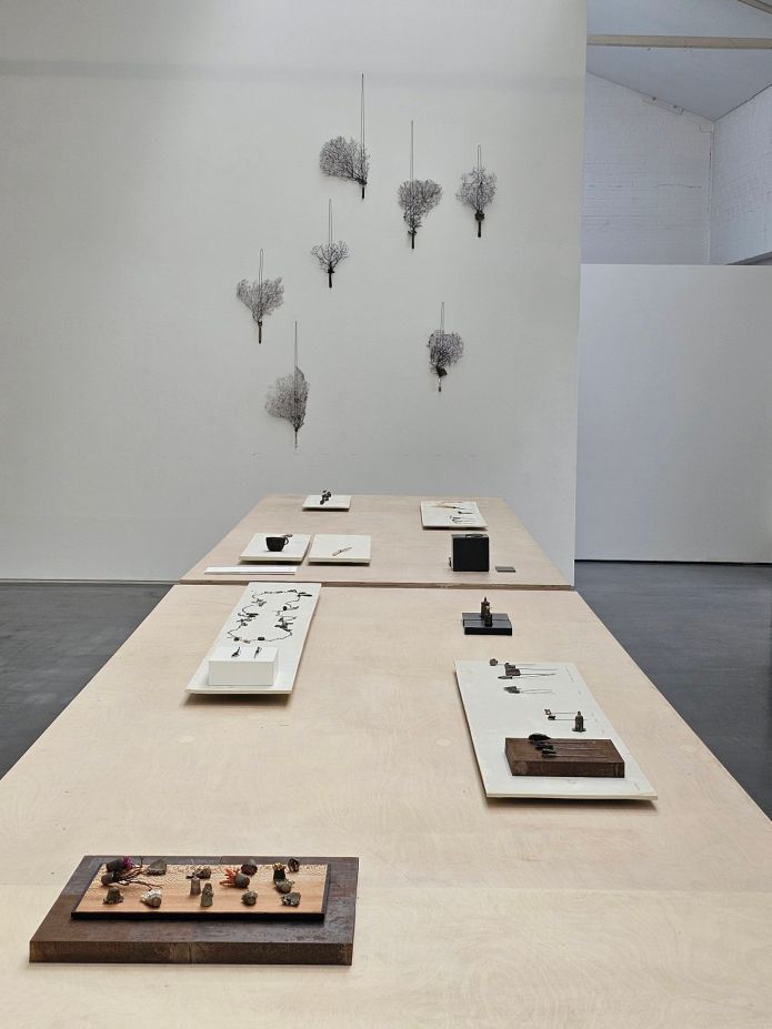 Blog | | Charles | Saumarez | Smith